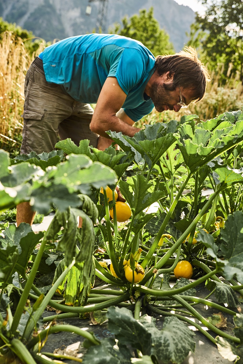Néo-Maraîcher en Maurienne | THIBAUT RAS
